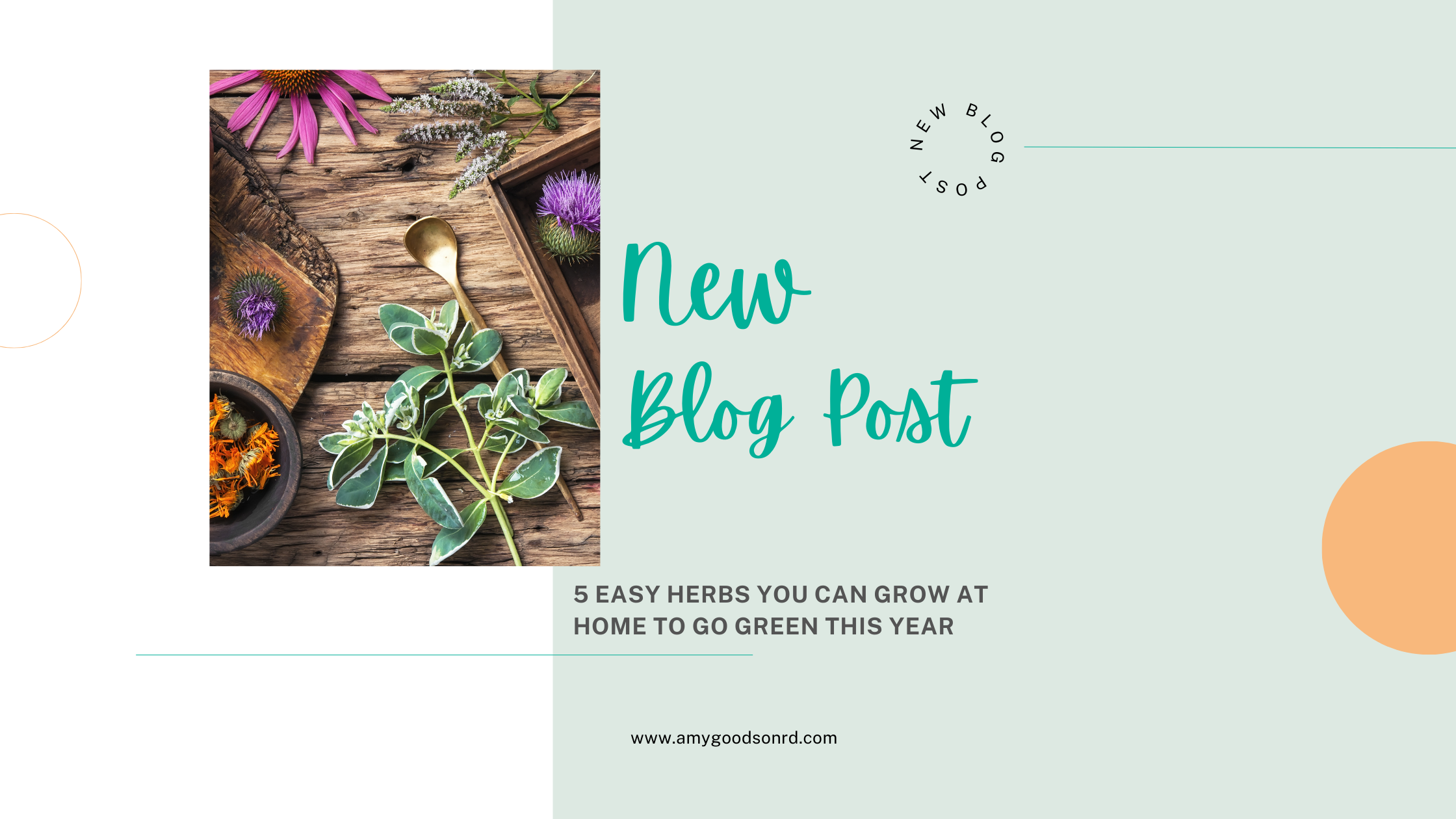 5 Easy Herbs You Can Grow at Home to Go Green This Year – Amy Goodson RD